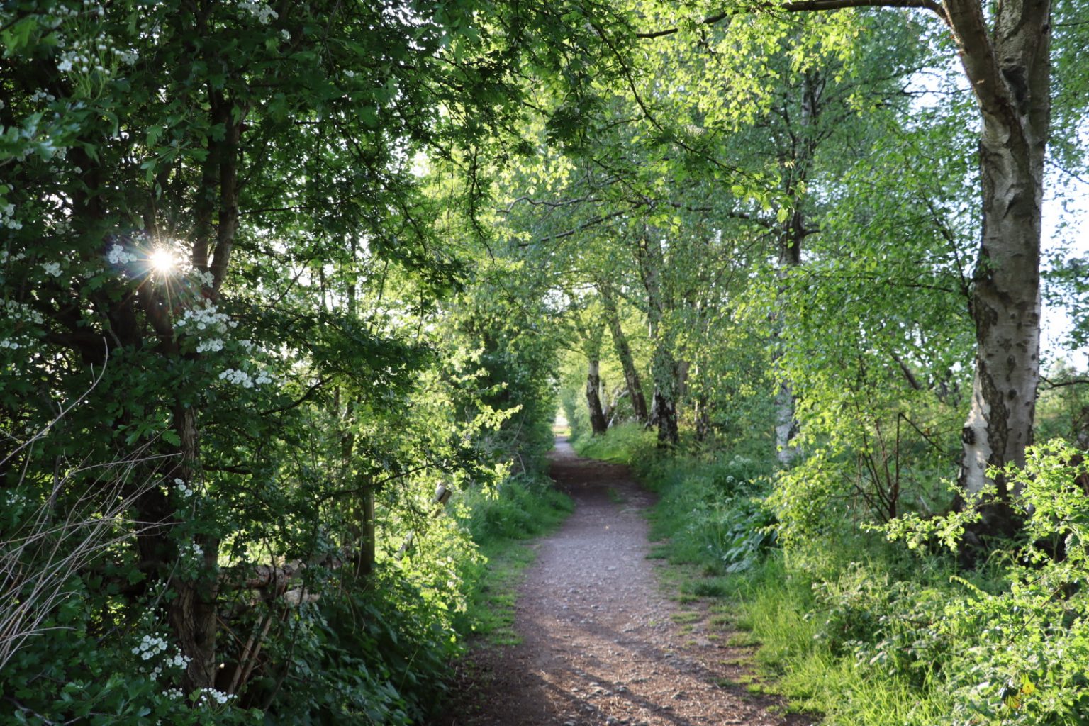 Home - Protect Lindow