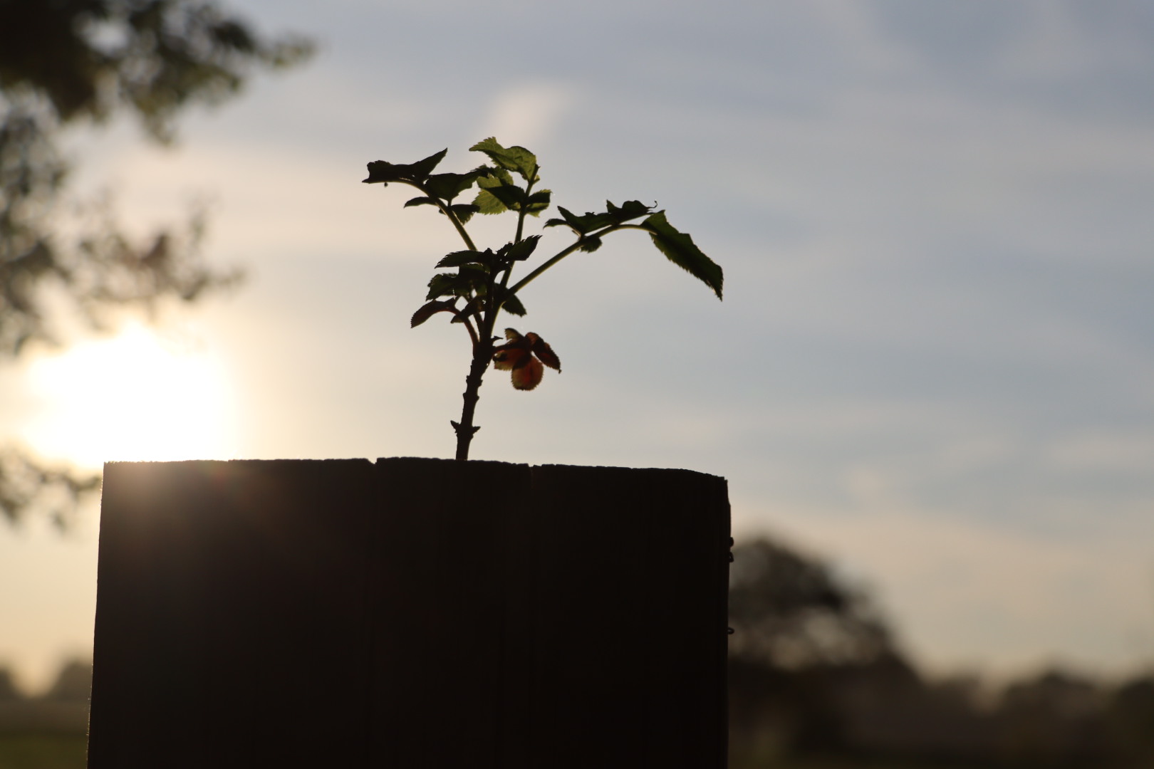 Home - Protect Lindow